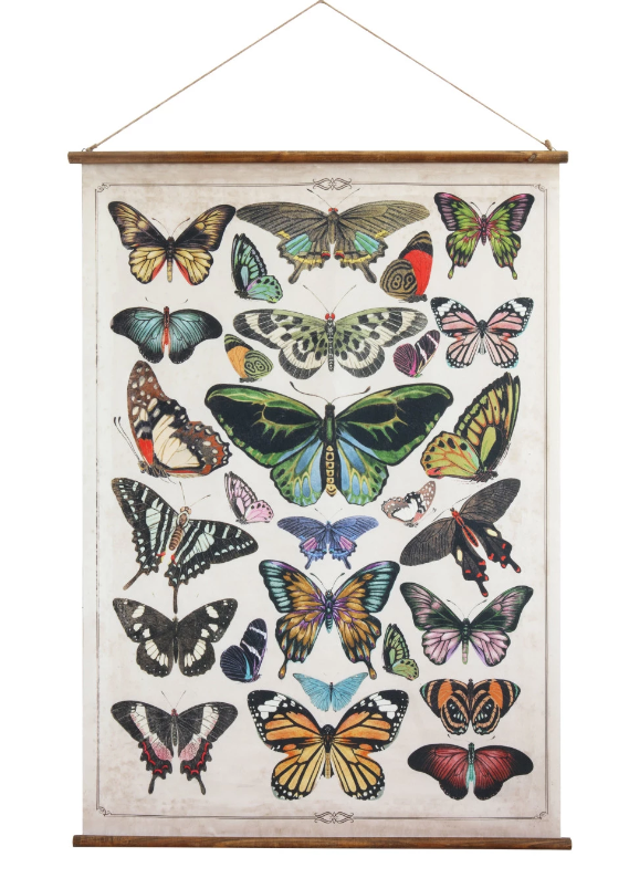 BUTTERFLY SCROLL ART | Textures Warehouse