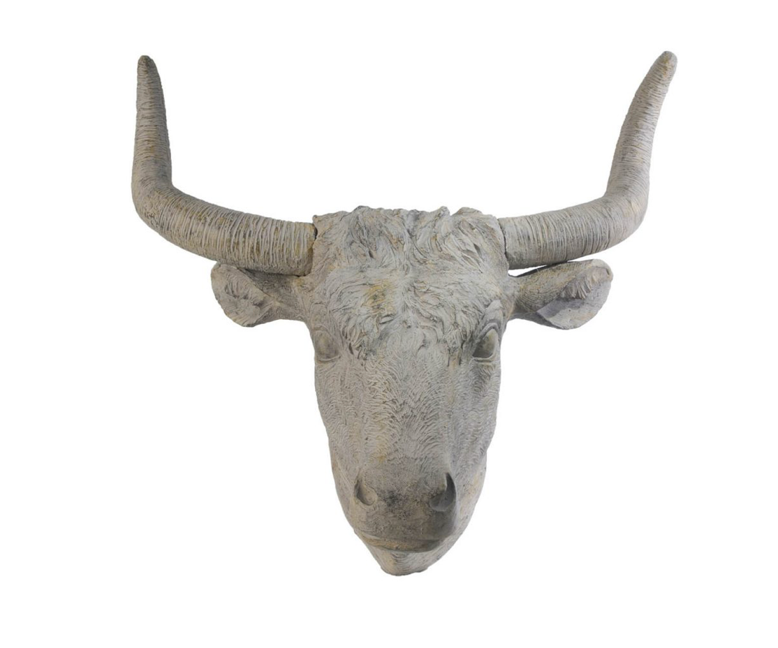 ANGUS HORN HEAD | Textures Warehouse